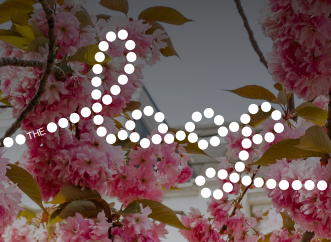 The Loop – SUMMER 2023 - NELTP